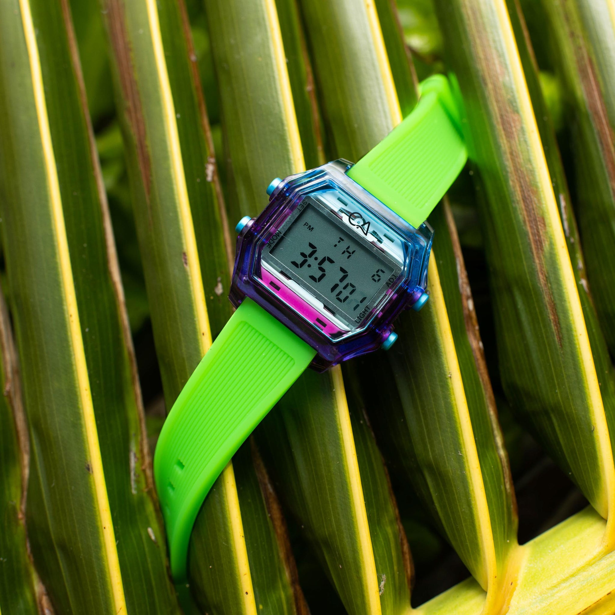 California Watch Co. Venice Beach Digital Deep Ocean Lime ...